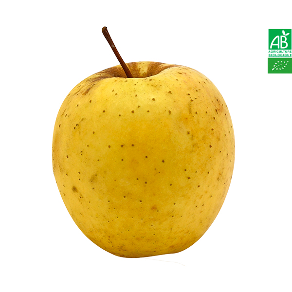 Pomme Jaune Golden Delicious Bio | Achat Pomme Jaune Golden Delicious ...